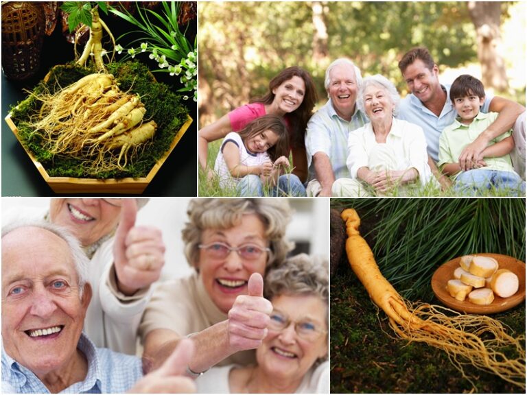 Lưu ý sử dụng Sâm Hàn Quốc đúng cách và ai không nên dùng? - Sâm Hàn Quốc